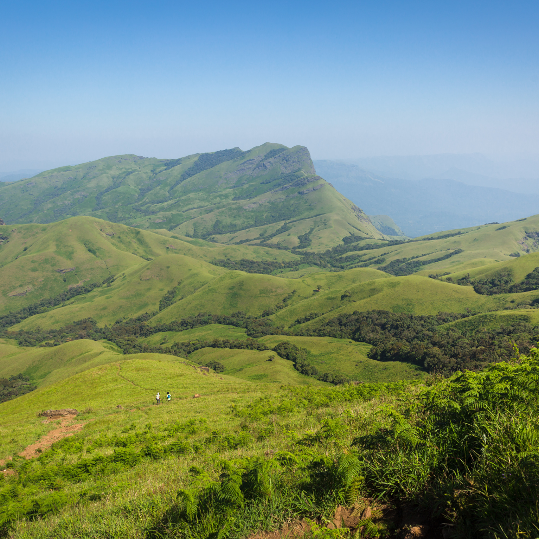 The Birthplace of Indian Coffee: A Journey through Chikmagalur ...
