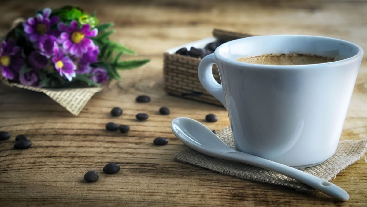 Chicory & South Indian Filter Coffee: A Blend of History, Flavor, and ...