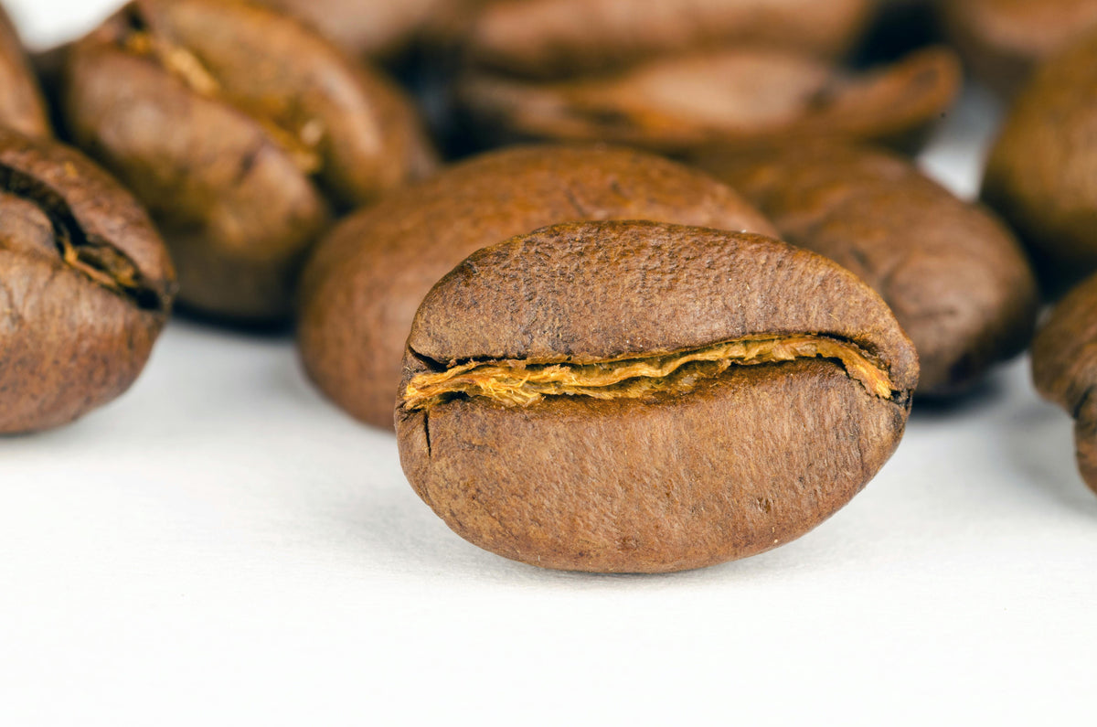 How Arabica, Robusta & Other Beans Shape the Taste of Your Coffee ...